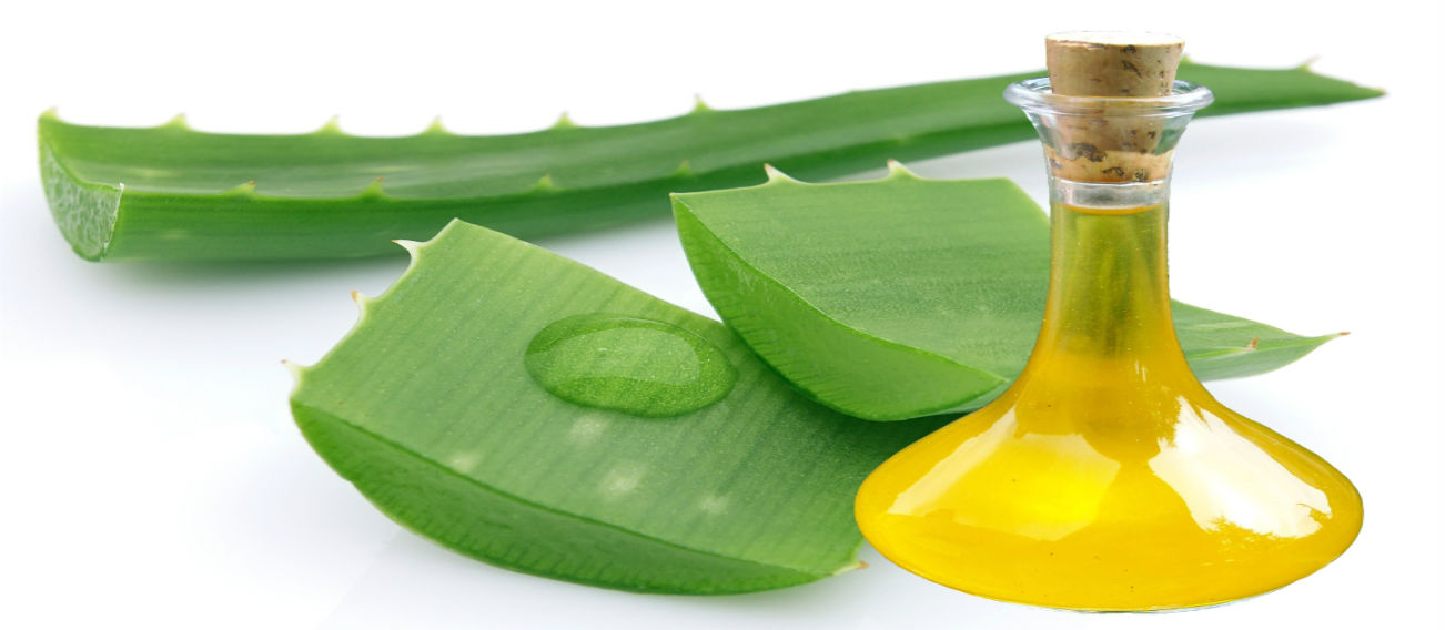 Shrihtrading.com Aloe Vera Oil Manufacturer & Exporter from India ...